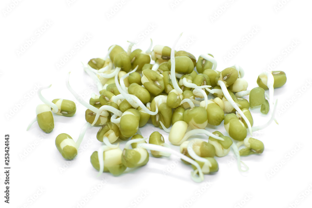 Sprouted mung beans isolated on white background Stock Photo | Adobe Stock