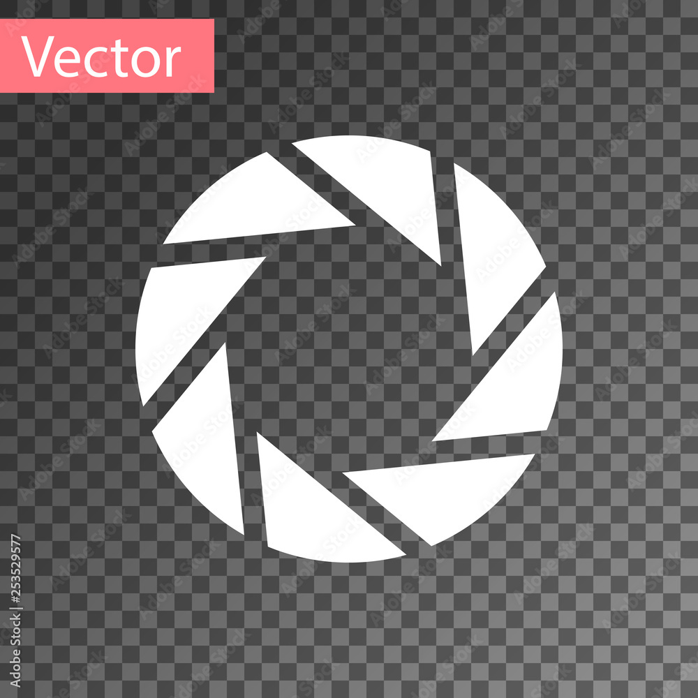 Camera Shutter Icon Vector