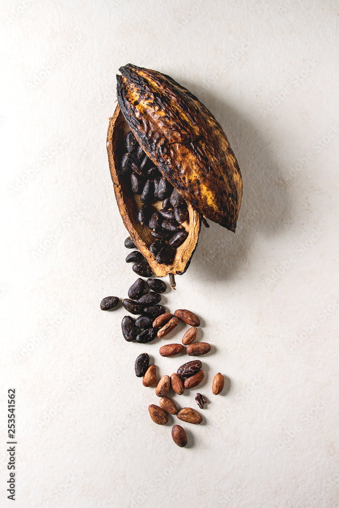 Variety of fresh and dry cocoa beans from cocoa pod over white texture ...