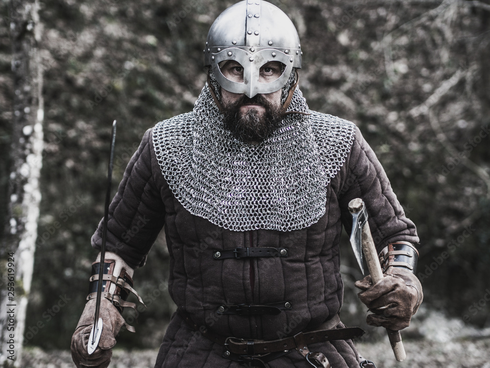 Viking with axe and sword ready to battle Stock Photo | Adobe Stock