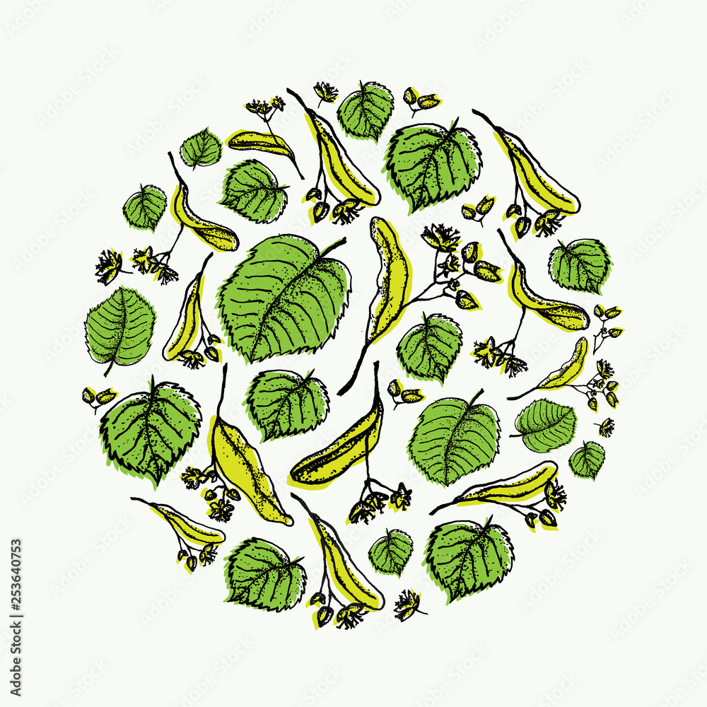 Linden hand drawn lino cut flat illustration. Linden tree blossom and ...
