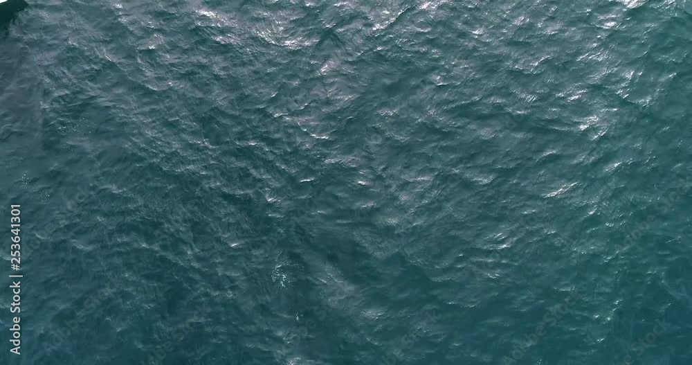 Vidéo Stock Drone zenital zoom in image of white boat sailing in the ...