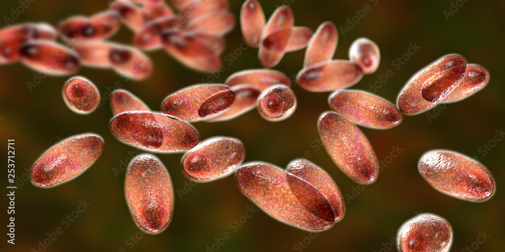 Plague bacteria Yersinia pestis, 3D illustration. Gram-negative ...