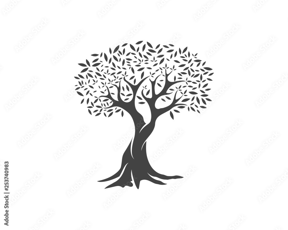 Olive tree vector illustration Stock Vector | Adobe Stock