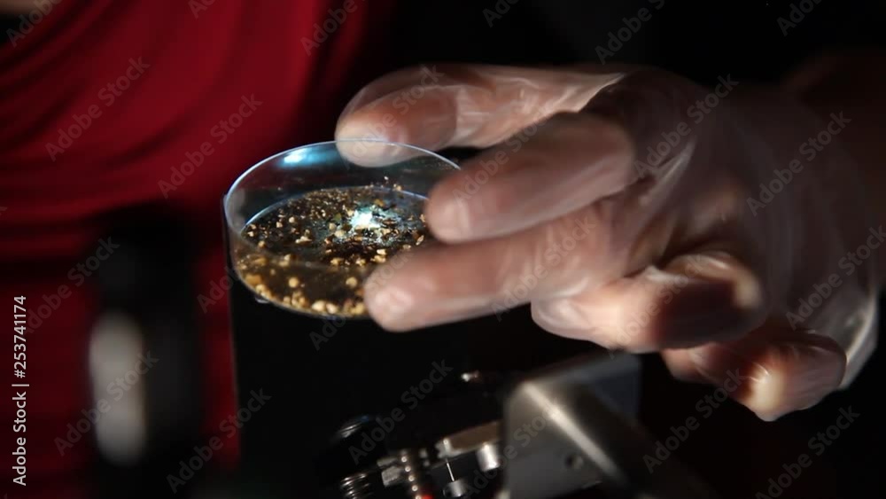 Examining food safety in photonics lab. Photonics testing with food ...