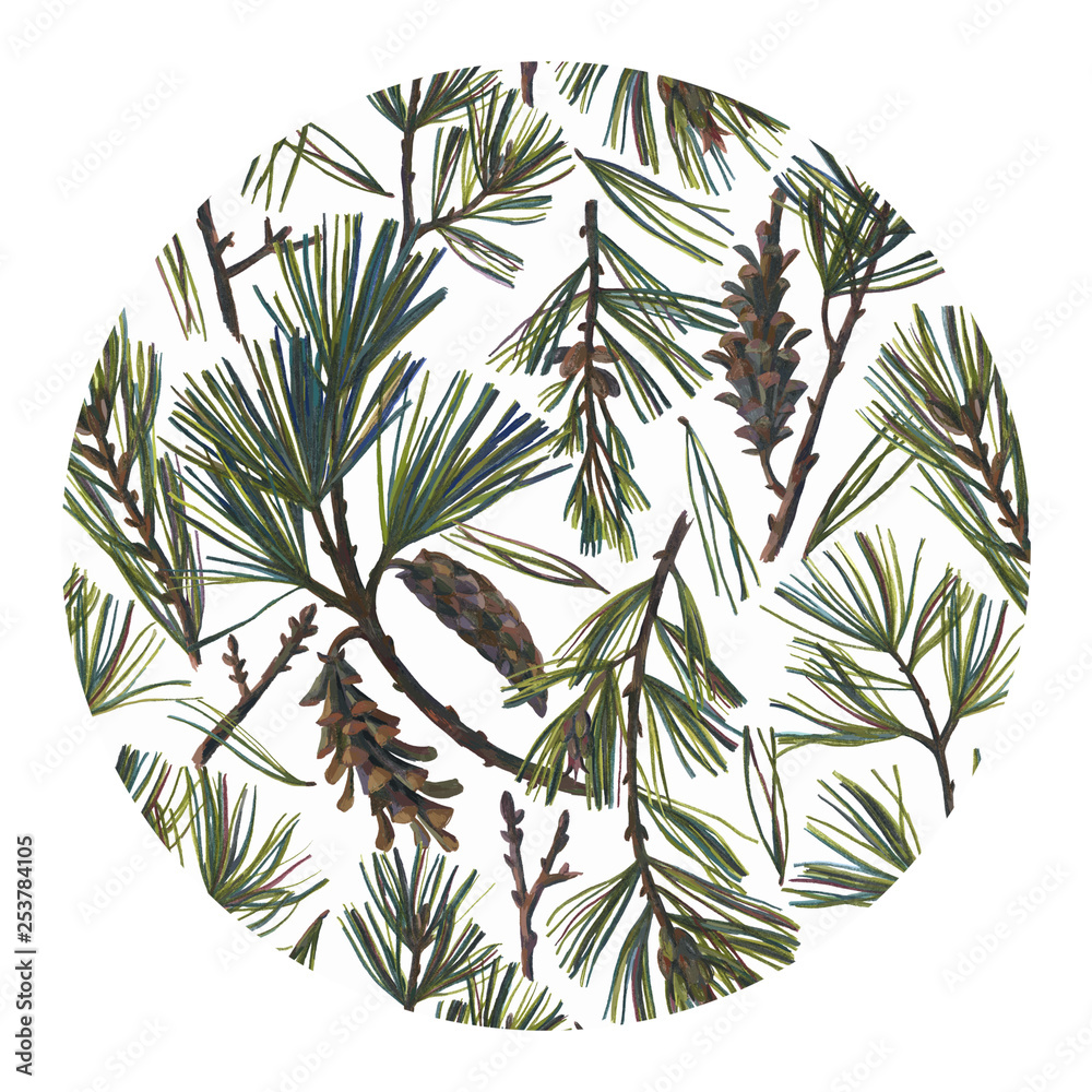 Eastern White Pine Drawing