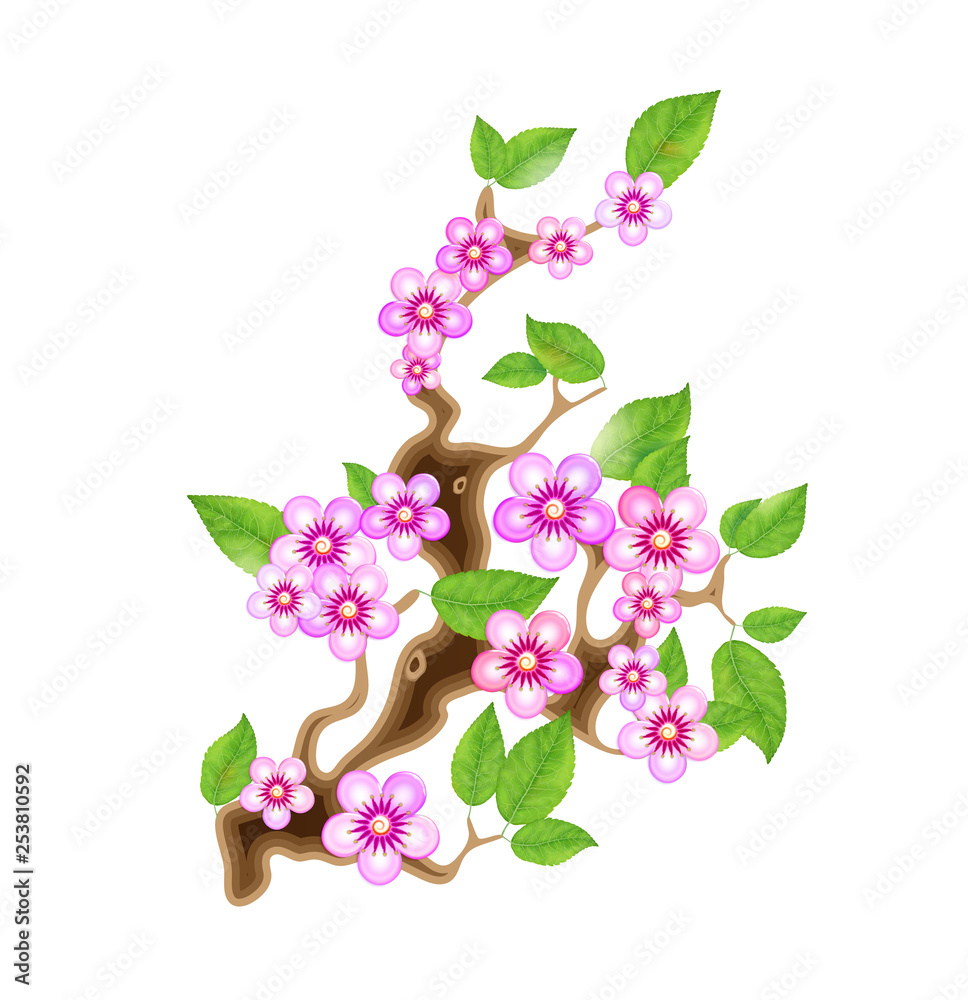 Branch sakura, vector illustration cherry blossom, with flowers in ...