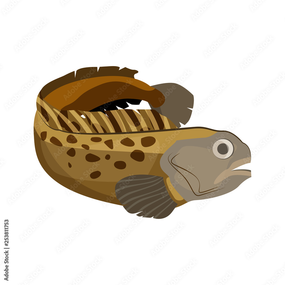 Burbot freshwater fish. Long mottled skin ling. Can be used for topics ...