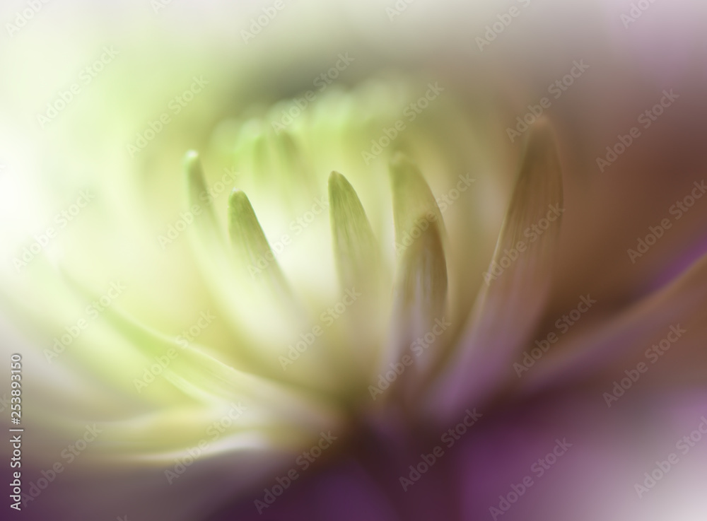 Extreme Close Up Shot Flower