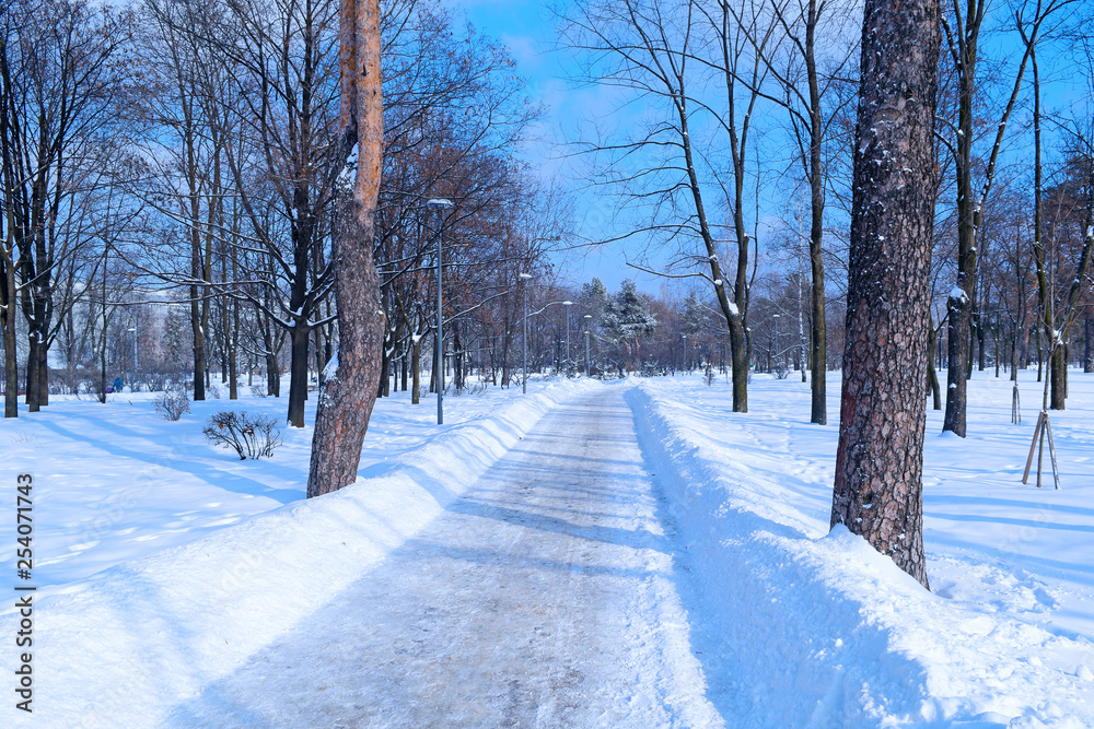 Beautiful Snowy Road