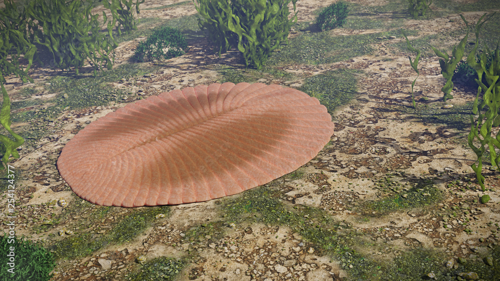 Dickinsonia, extinct creatures of the Ediacaran era, one of the first ...