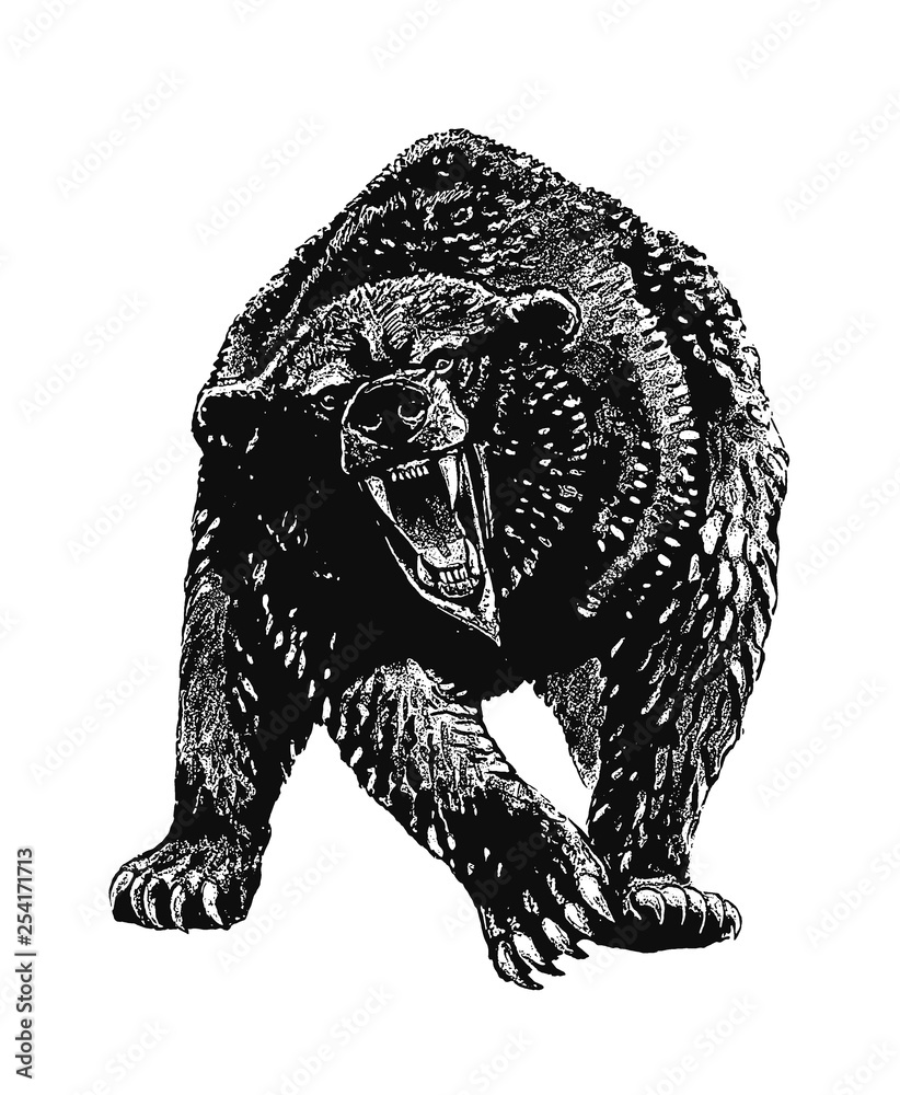 Cave bear illustration. Grizzly bear attack. Stock Illustration | Adobe ...