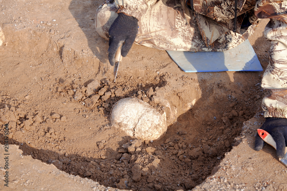 Archaeological excavations. Archaeologist in a digger process. Close up ...