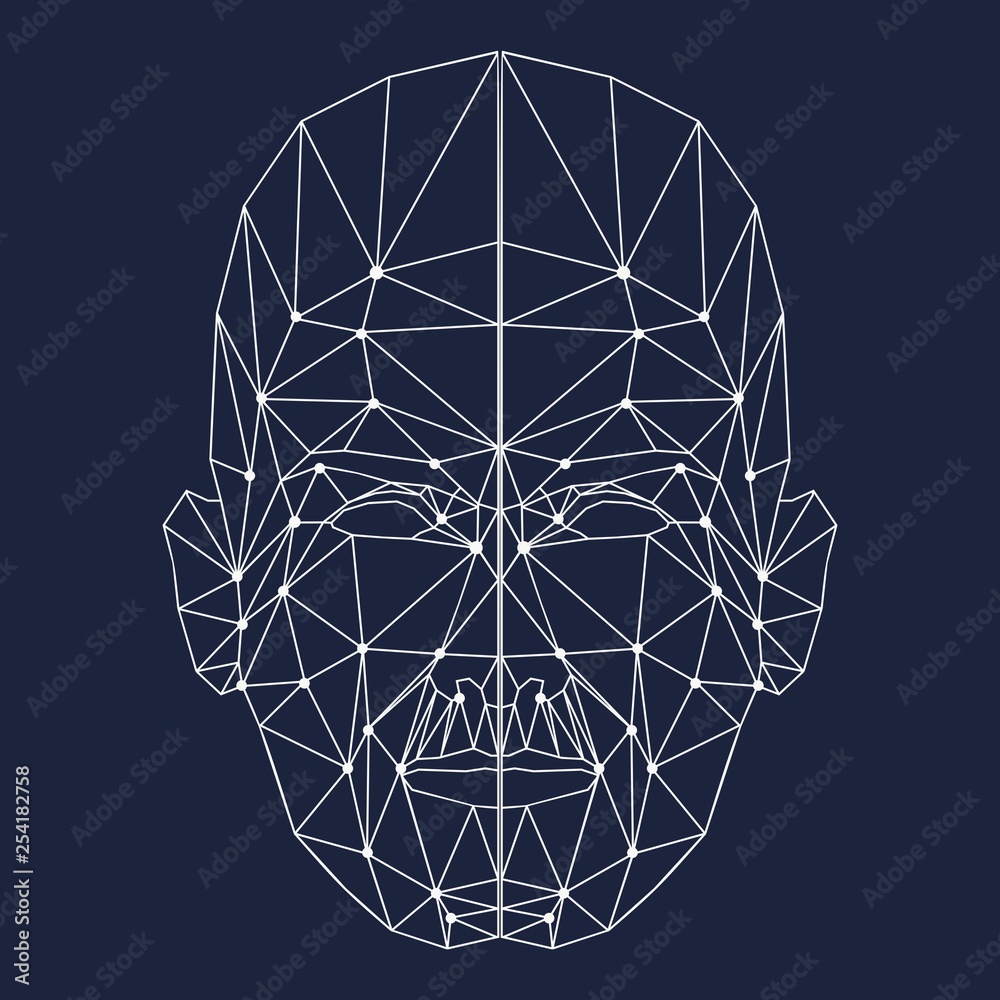 Wireframe Face