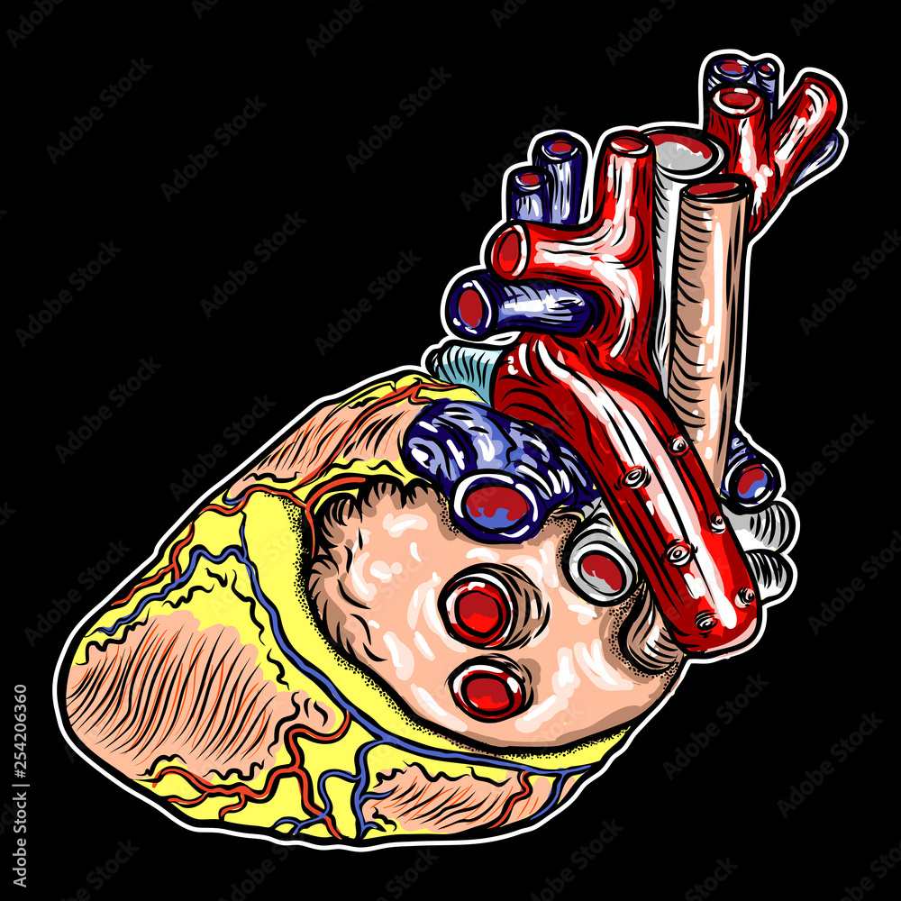 Realistic human heart. Vintage style hand drawing. Cartoonish flash ...
