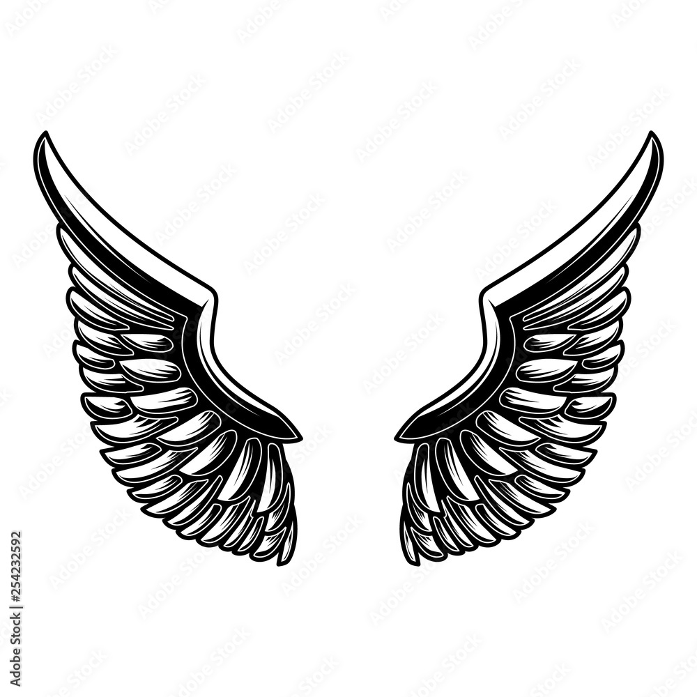 Wings illustration isolated on white background. Design element for ...