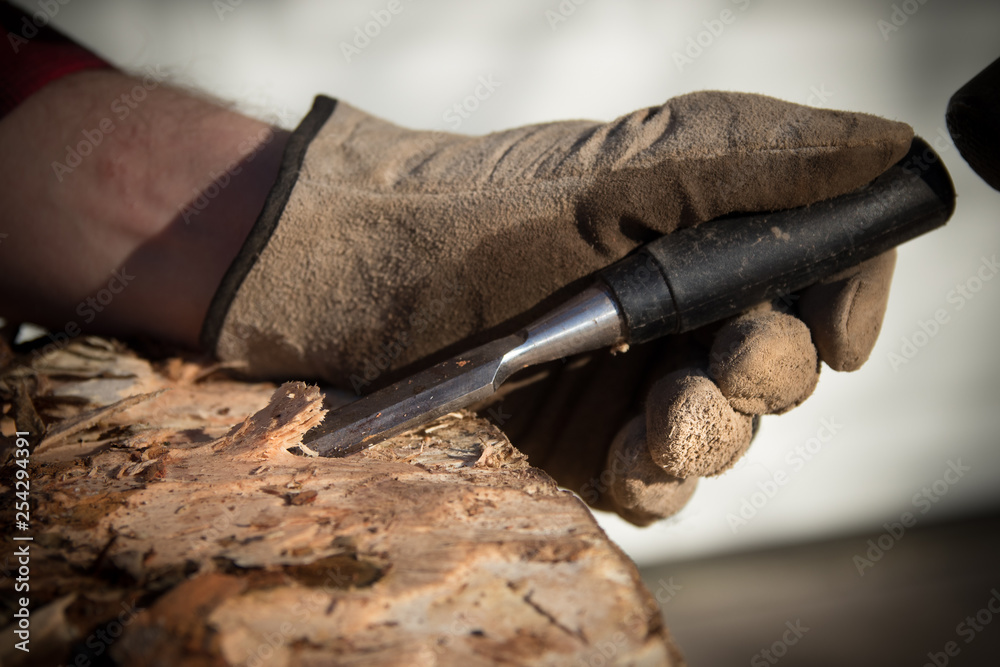 Man's hands in work gloves using hammer and chisel on bark of a tree ...
