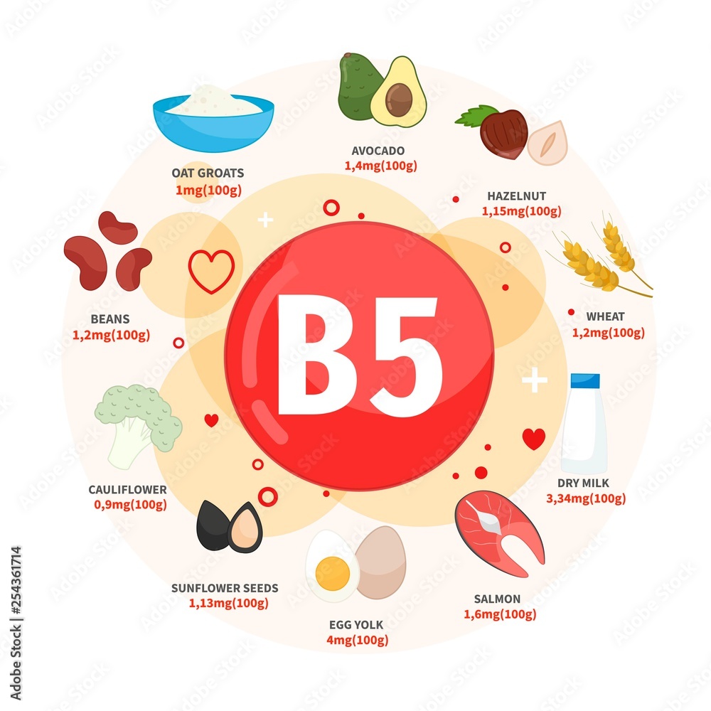 Vector poster products with vitamin B5. Cartoon illustrations of ...