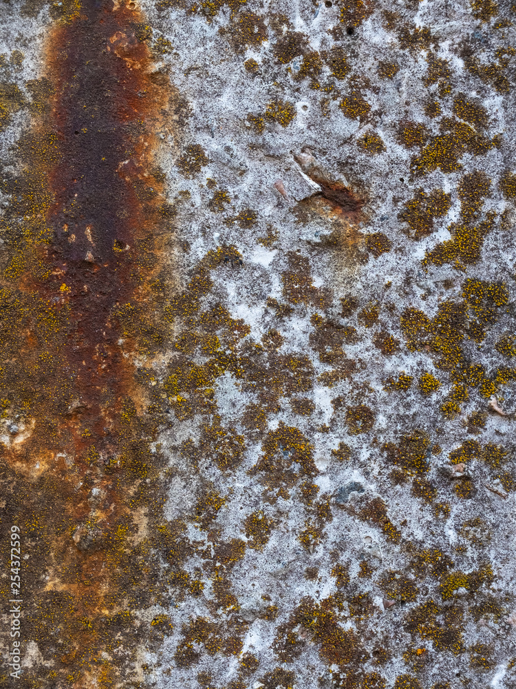 Texture of old reinforced concrete surface with rust and moss. Armored ...