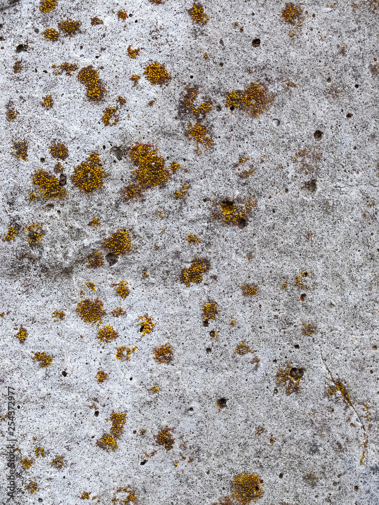 Texture of old reinforced concrete surface with rust and moss. Armored ...