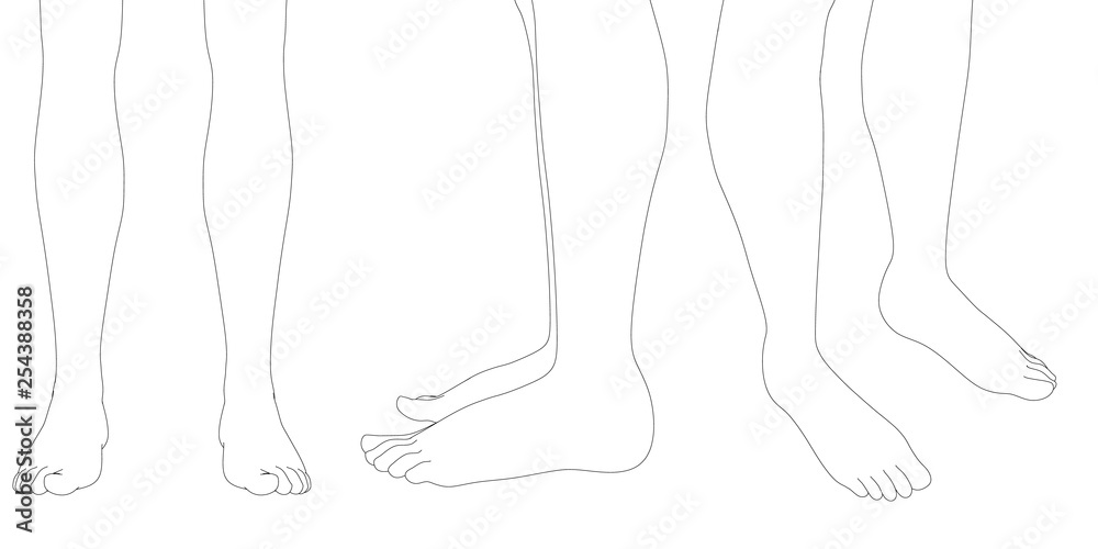 Human Foot Front View