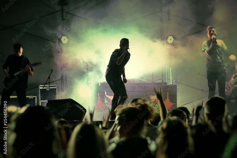 Performance of rock of group on a scene. Stock Photo | Adobe Stock