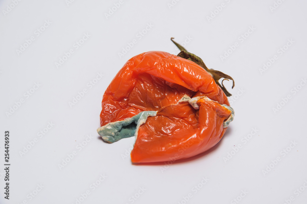 Crushed tomato with mold. Spoiled tomato on white background. Improper ...