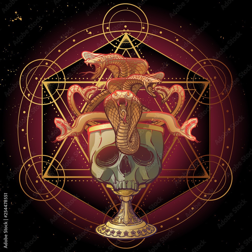 Skull made goblet filled with snakes. Occult symbols on background ...