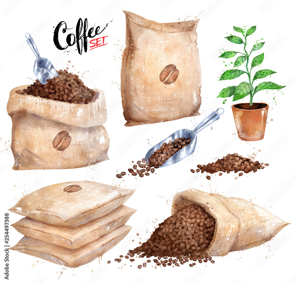 Watercolor illustration of coffee sacks and beans Stock Illustration ...