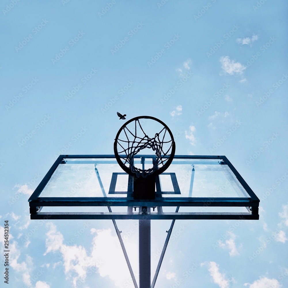 basketball ring under flying bird during daytime Stock Photo | Adobe Stock