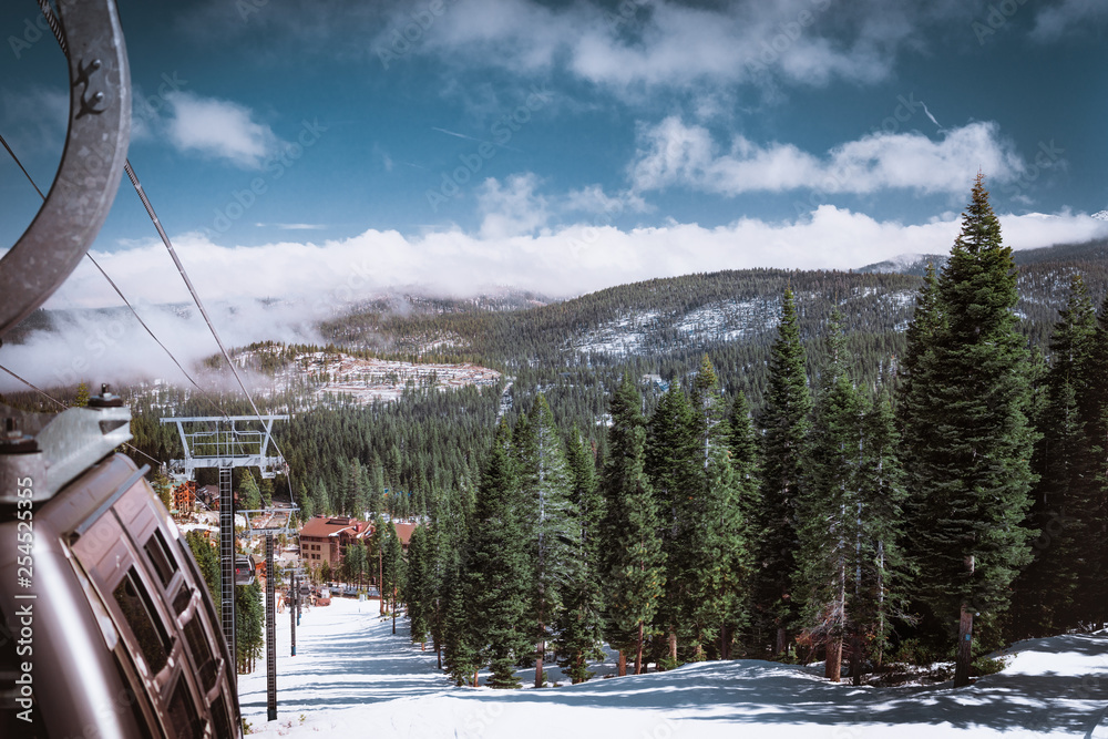 cable cart on forest Stock Photo | Adobe Stock