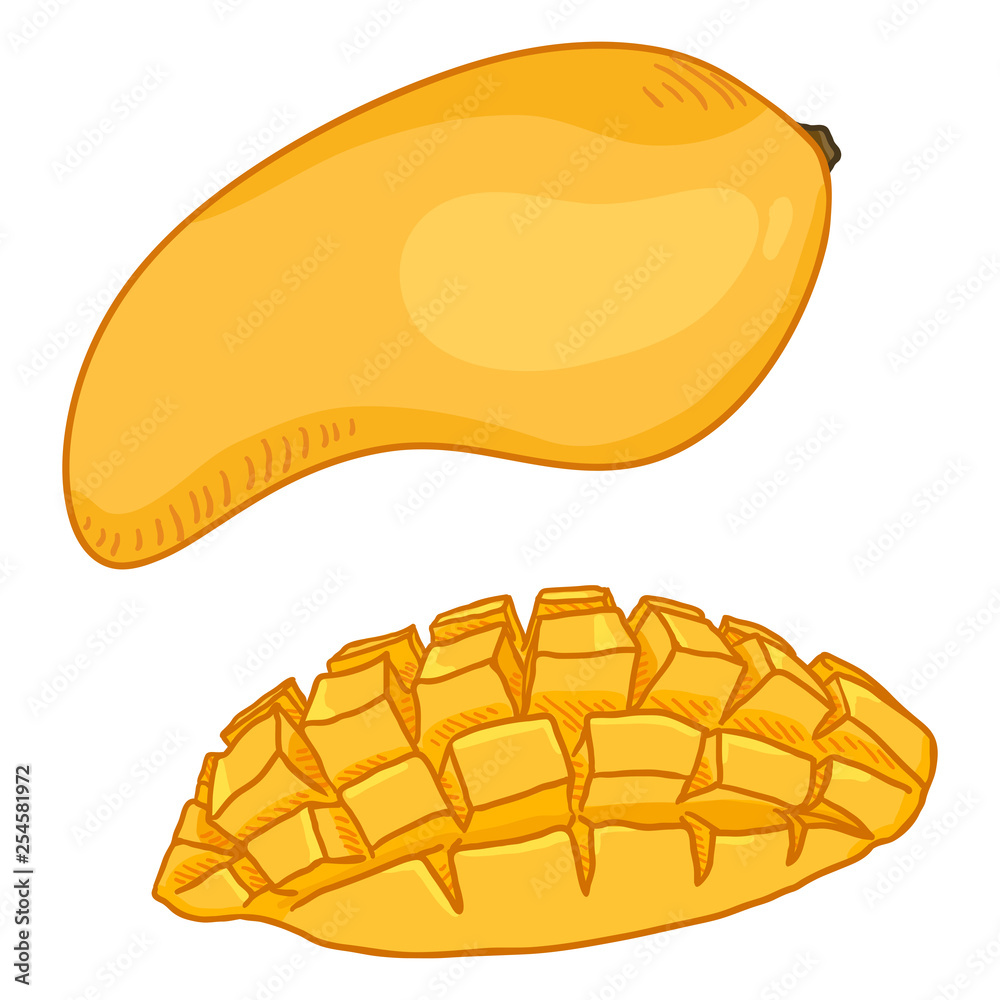 Vector Cartoon Yellow Mango Fruit. Whole and Sliced. Stock Vector ...