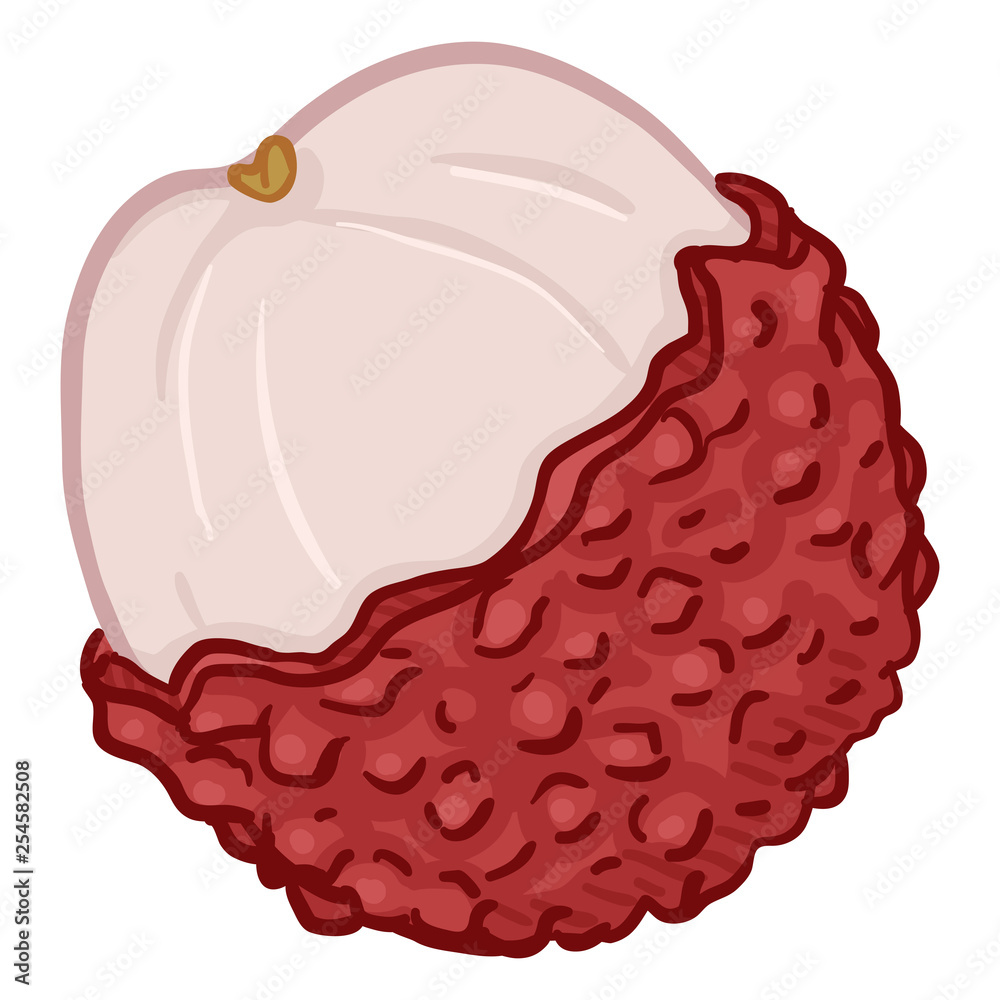 Vector Cartoon Lychee Fruit Stock Vector | Adobe Stock