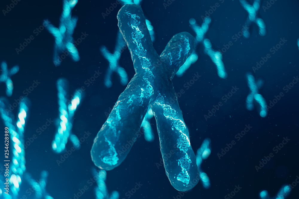 X-Chromosomes with DNA carrying the genetic code. Genetics concept ...