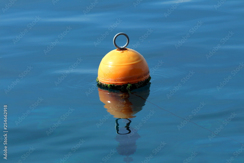 Orange plastic buoy with metal ring on top surrounded with green algae ...