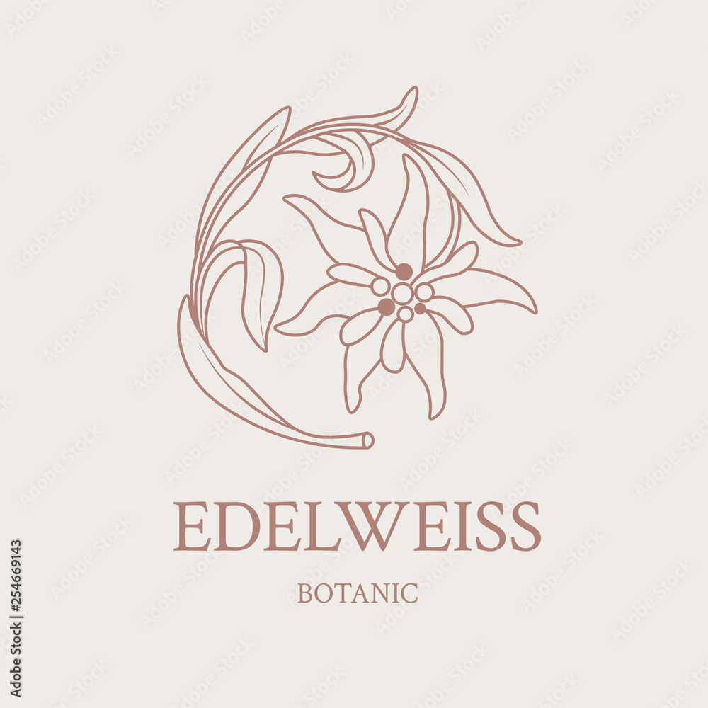 Flower design of the logo with a hand-drawn flower of Edelweiss Stock ...
