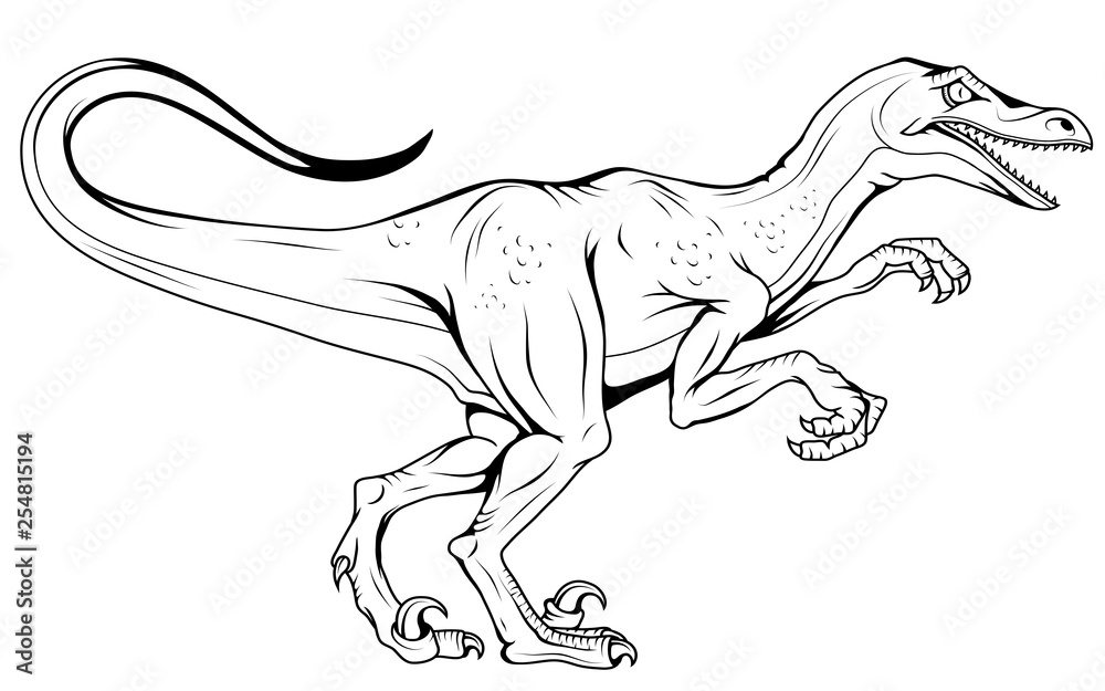 velociraptor hand drawn dinosaur , vector graphic to design Stock ...