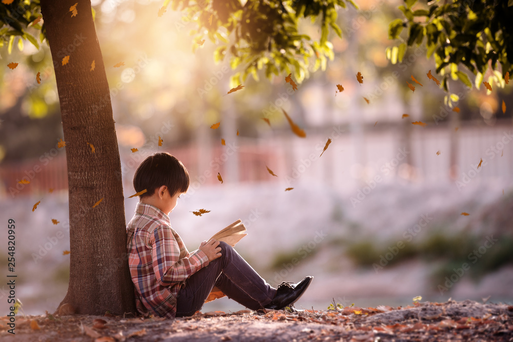 Boy Reading A Book Under The Tree
