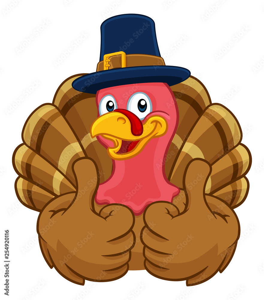 Pilgrim Turkey Thanksgiving bird animal cartoon character wearing a pilgrims hat giving a thumbs ...