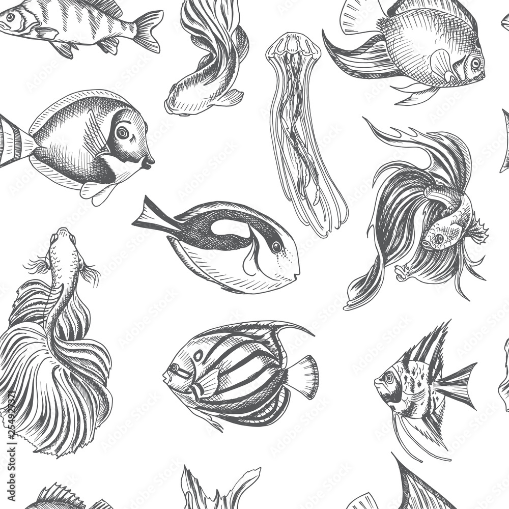 Vector hand drawn sketch Card with aquarium fish. Discus, Scalaria ...