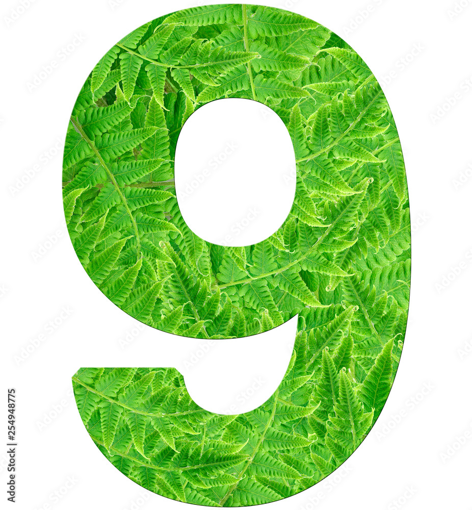 number 9 with fern texture, isolated on white background, font ...