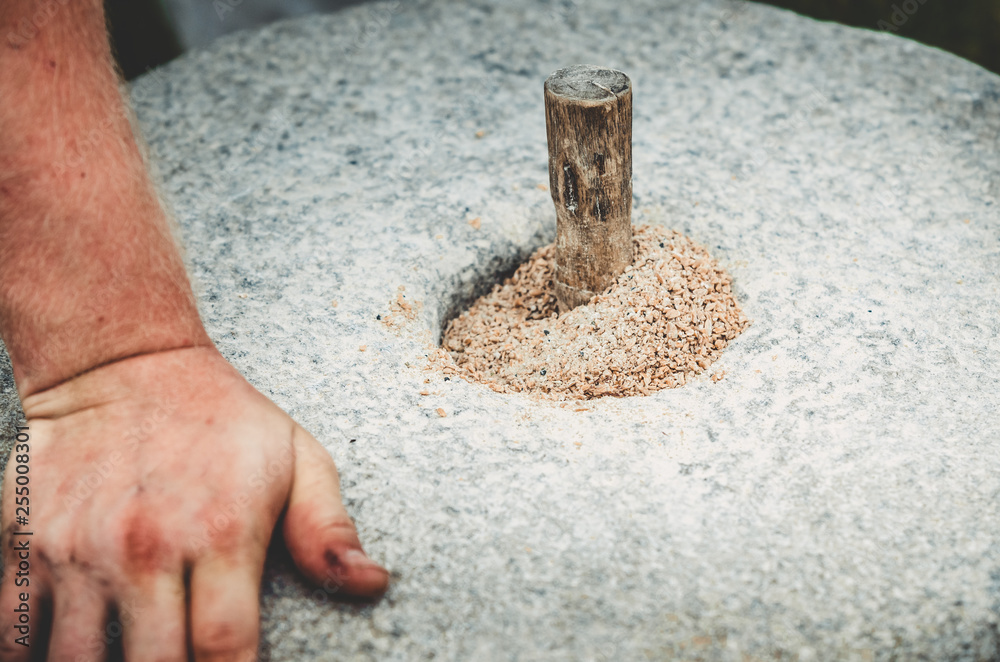 The ancient quern stone hand mill with grain close up. The man grinds ...