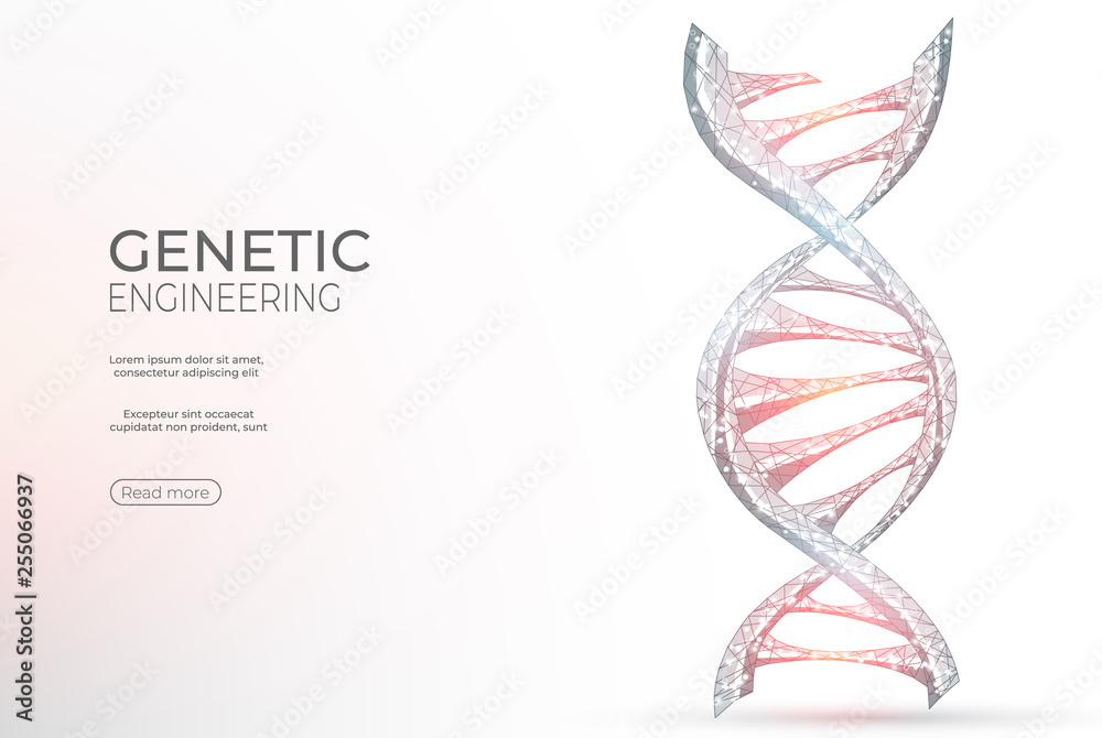 DNA polygonal genetic engineering abstract background. The isolated ...