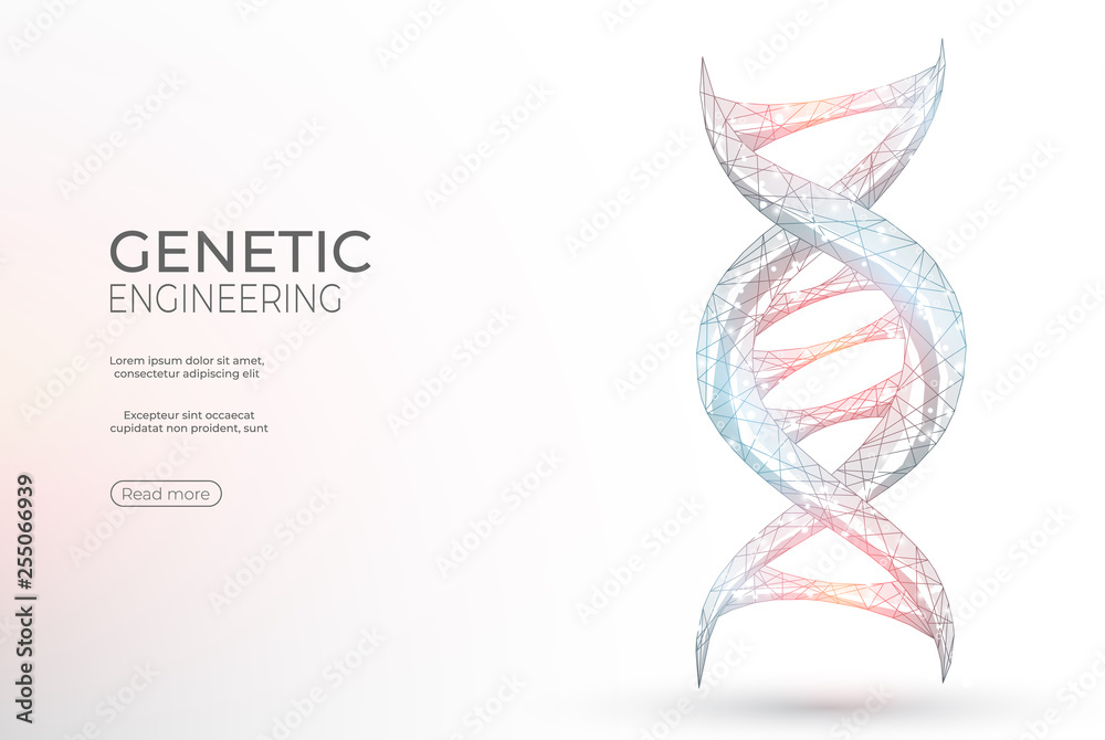 DNA polygonal genetic engineering abstract background. The isolated ...