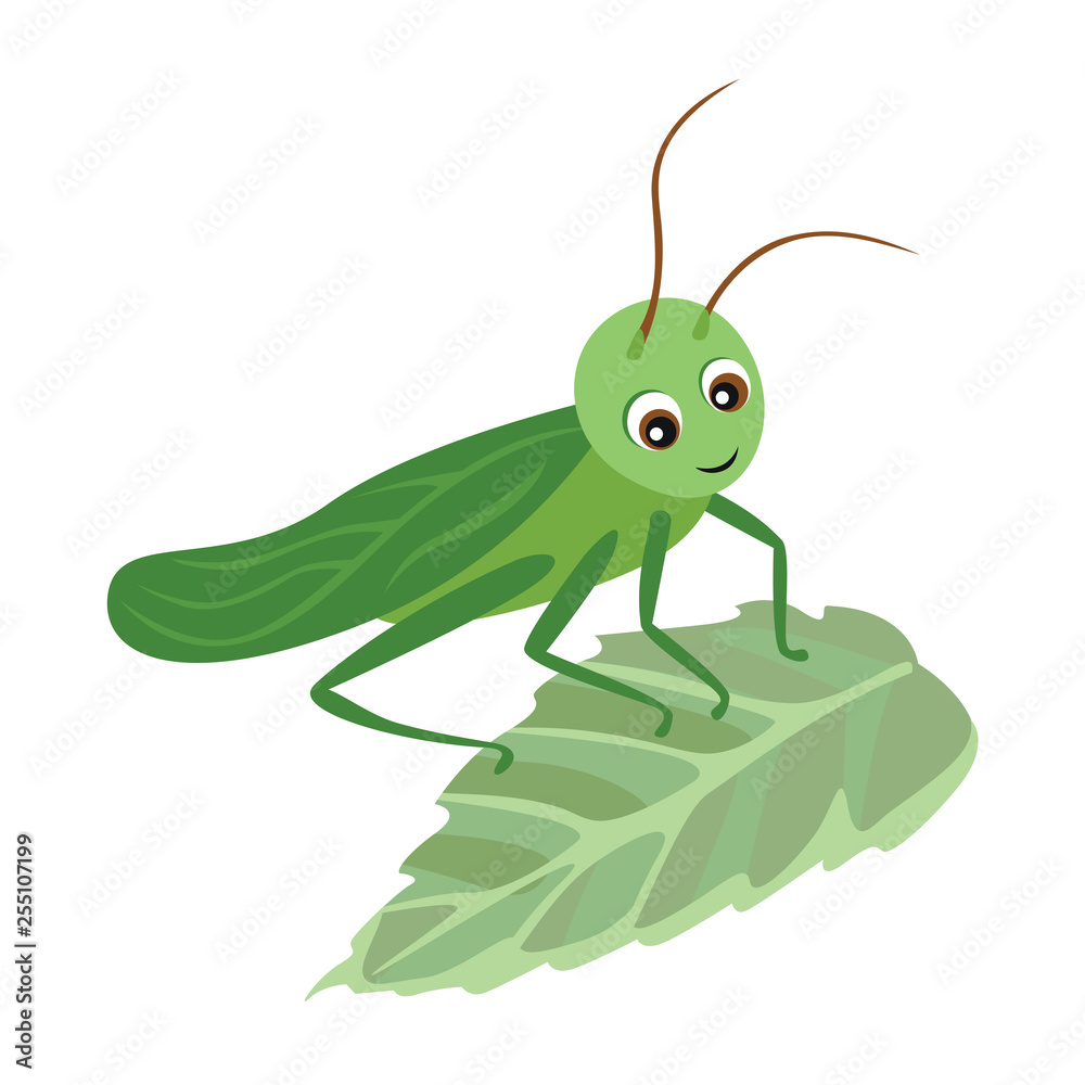 Cartoon grasshopper on green leaf. Vector illustration in children's ...