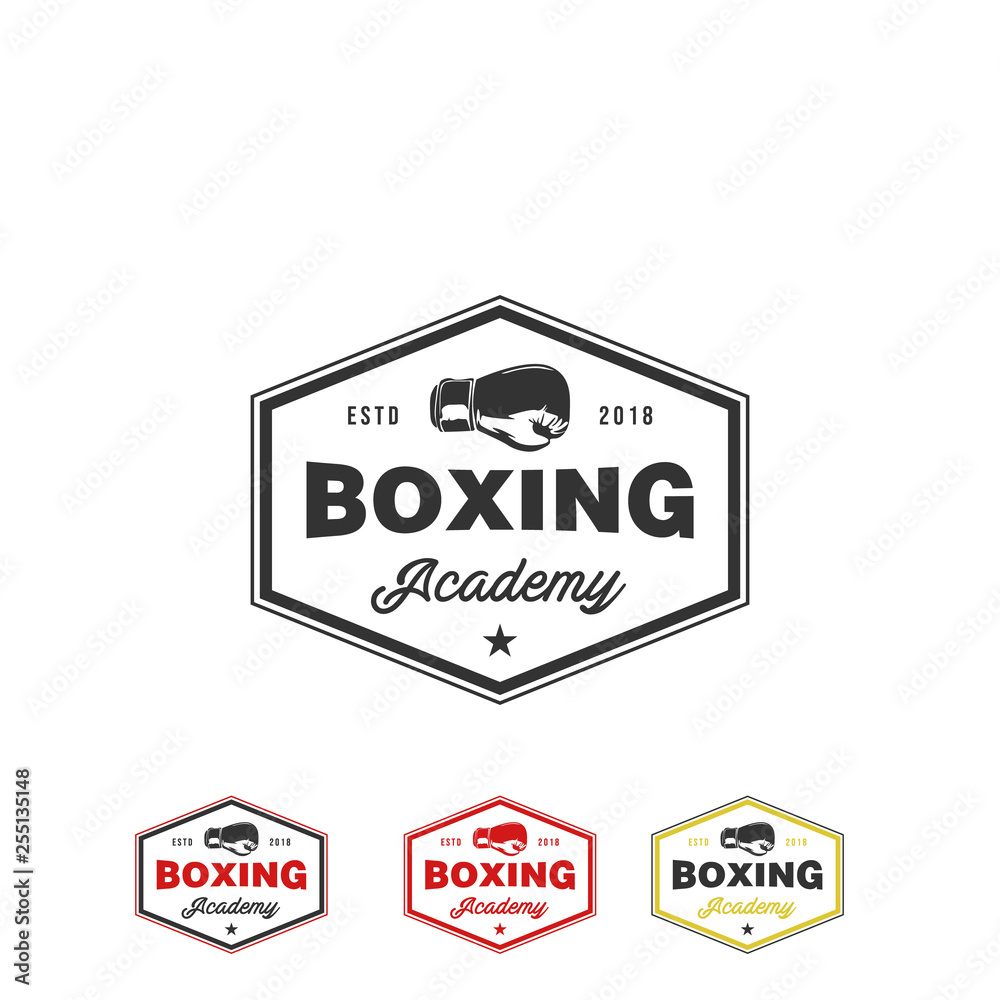 Boxing and martial arts logo, badge or label in vintage style. Vector ...