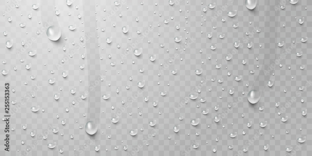 Drops of water, dew falls. Rain or shower drops isolated on transparent ...