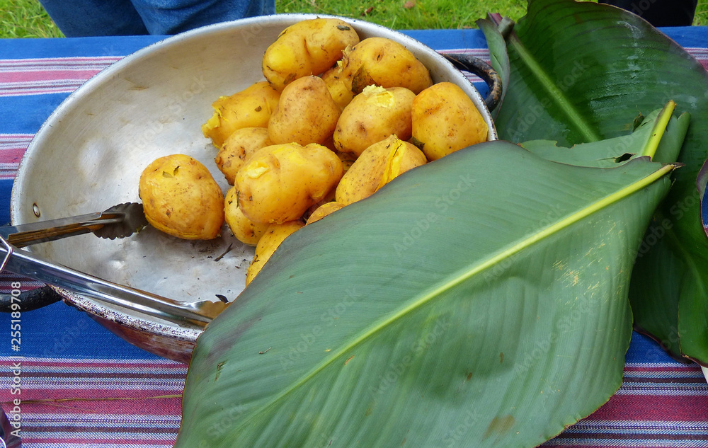 Potatoes, carrots, beans in bowls cooked underground on heated stones ...