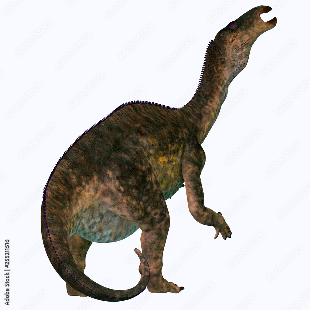 Lurdusaurus Dinosaur Tail - Lurdusaurus was an iguanodont ornithopod ...