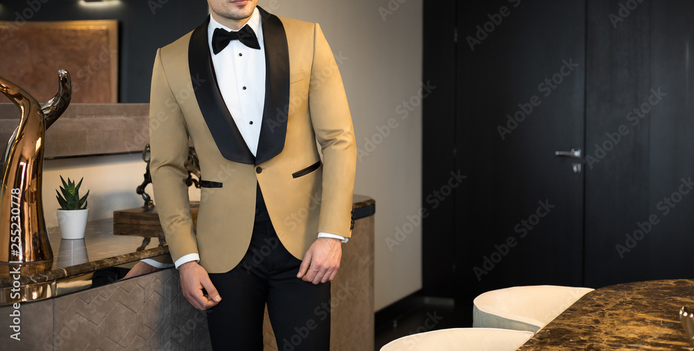Man model in expensive custom tailored tuxedo, suit standing and posing ...